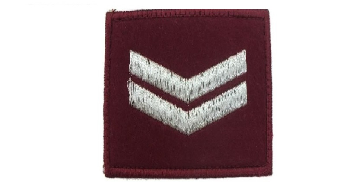 Distintivo qualifica Vigili del Fuoco VVF Esperto grado quadrato ...