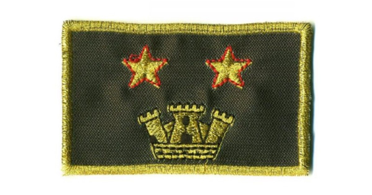 Distintivo qualifica Vigili del Fuoco VVF Vigile Del Fuoco Direttore ...
