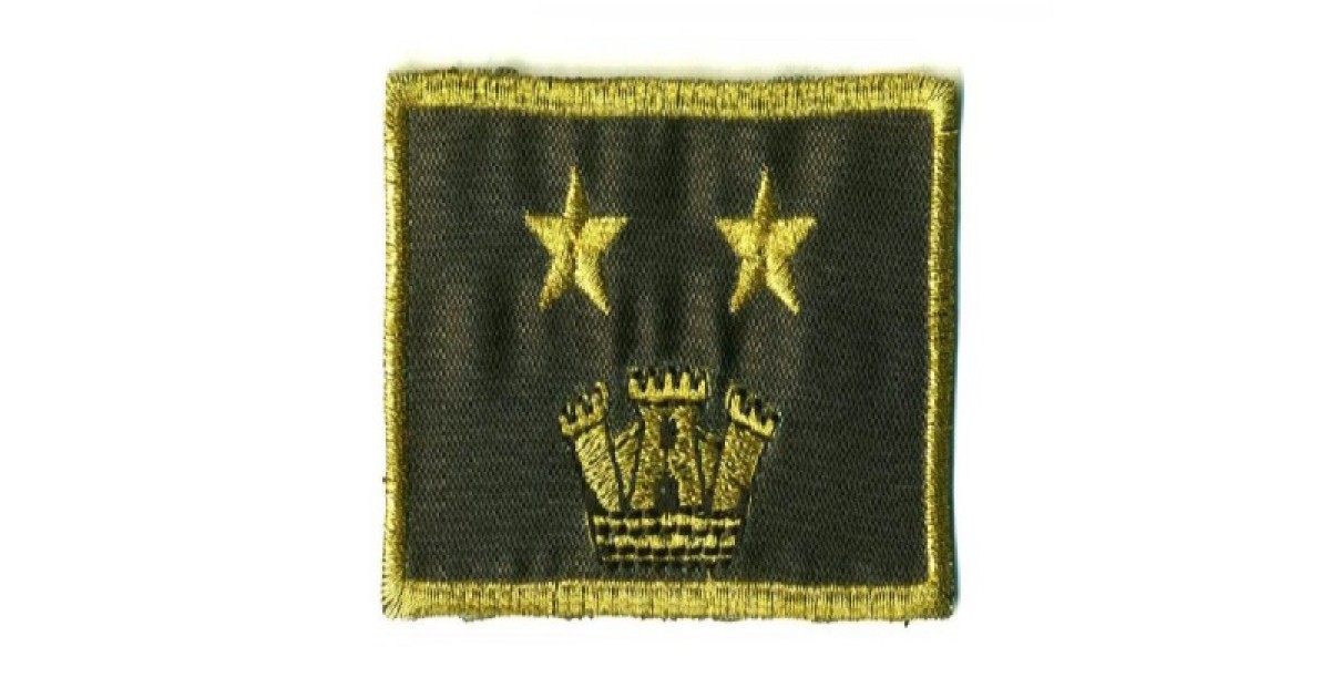 Distintivo qualifica Vigili del Fuoco VVF Vigile Del Fuoco Direttore ...