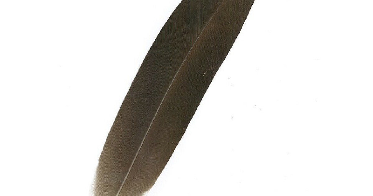 Penna Alpino marrone flessibile - Alpini - Divisa Militare