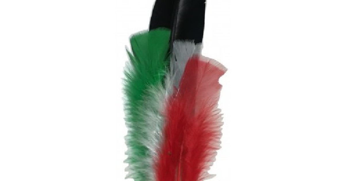 Penna Alpino nera con tricolore - Alpini - Divisa Militare