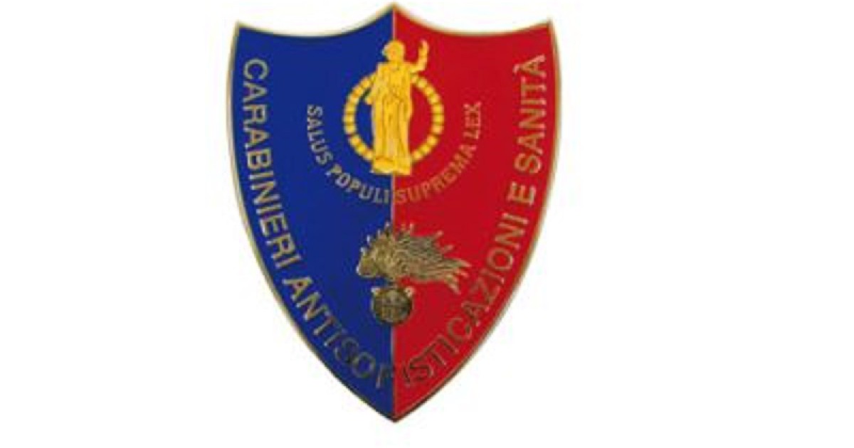 Distintivo Carabinieri scuola allievi
