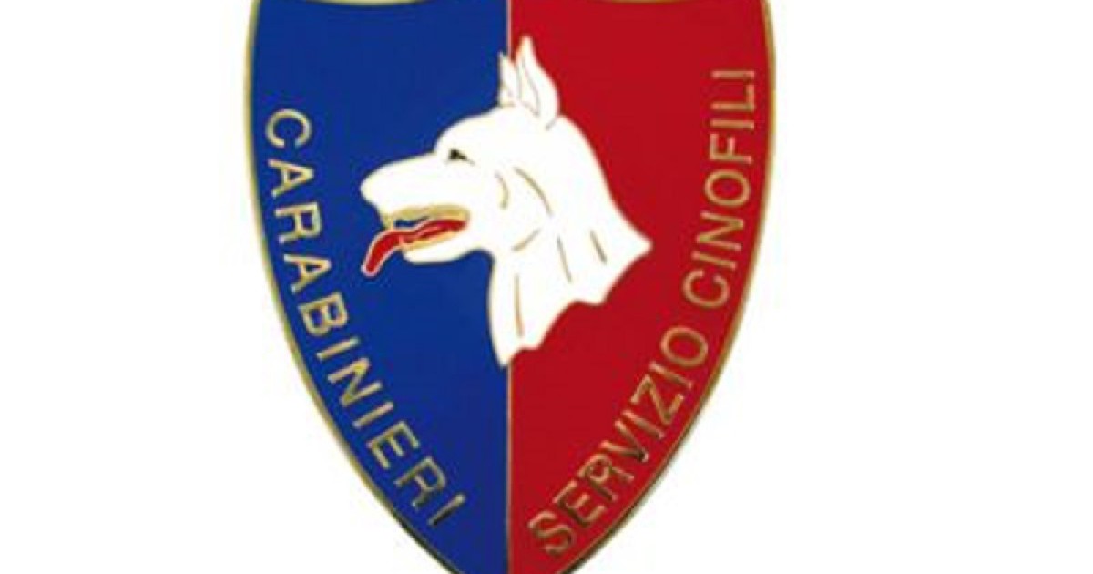 Distintivo Carabinieri scuola allievi